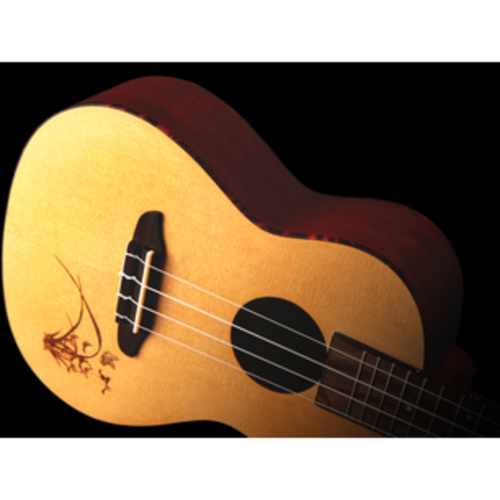 Ortega Bonfire Series Concert Ukulele with Spruce Top RU5 - Talentz